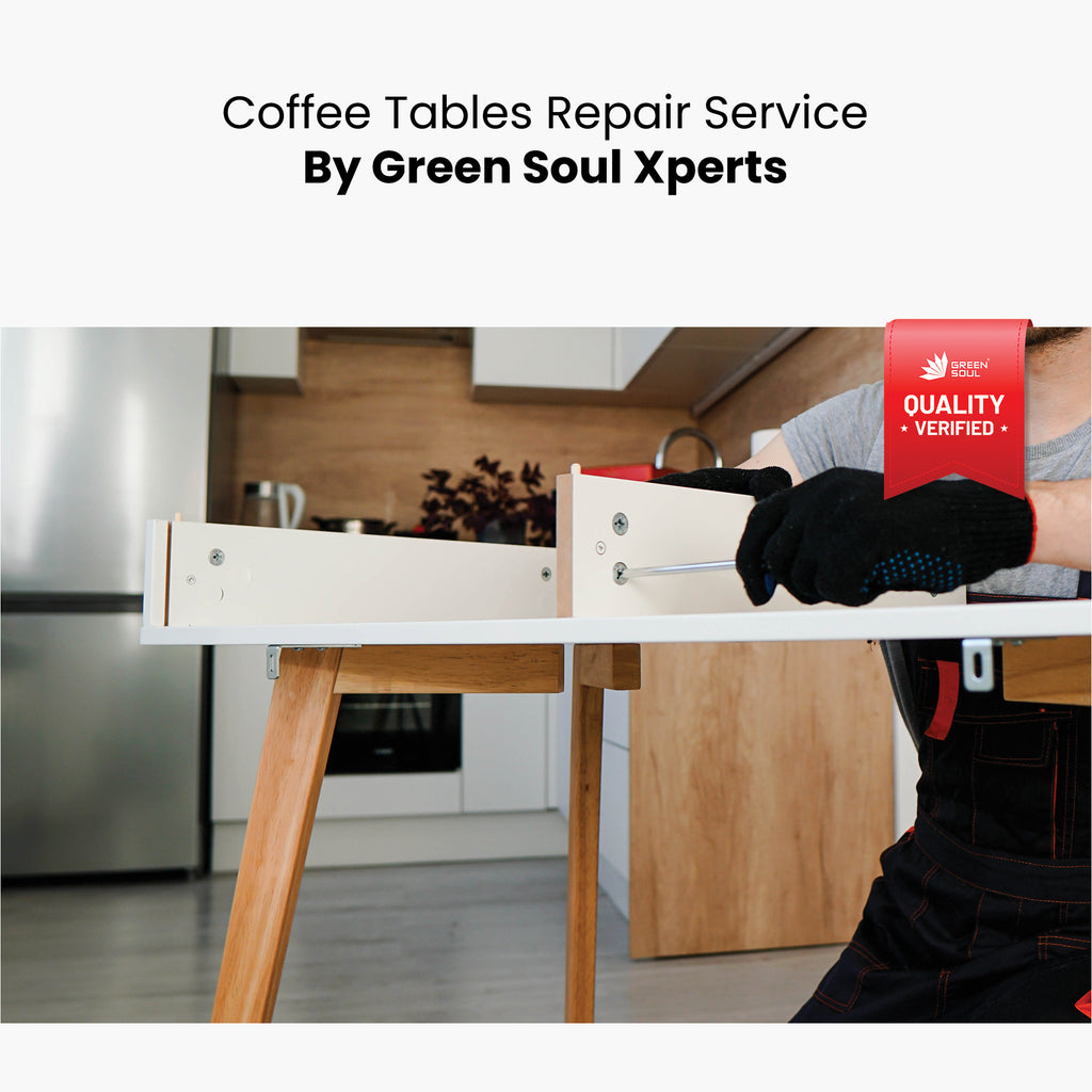 Repair Service by Green Soul Xperts